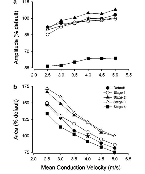 Influence Of The Intracellular Action Potential Advancing Stages Of Download Scientific