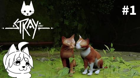 【stray】1 迷子になった猫のアドベンチャーゲーム！？【のえるの】 Youtube