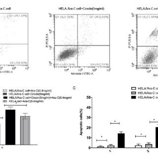 Crocin Combined With Ara C Induced Apoptosis And Cell Cycle Arrest Of