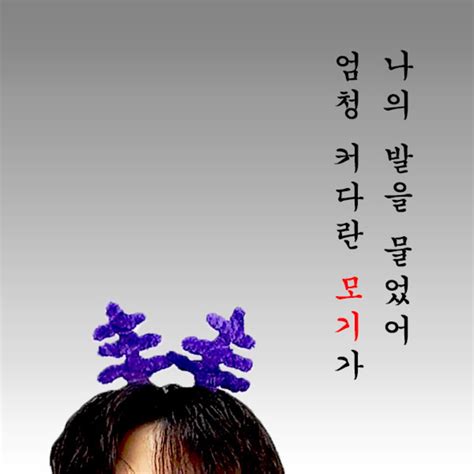 ‎apple Music에서 감상하는 블루베리파이의 엄청 커다란 모기가 나의 발을 물었어 Single
