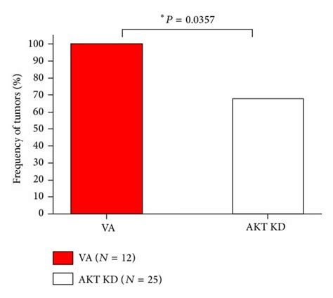 Akt Knockdown A Akt Knockdown Kd Western Blots Of Three Escc Cell