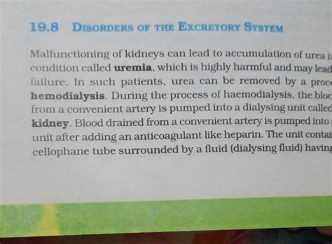 19 8 DISORDERS OF THE EXCRETORY SYSTEMMalfunctioning Of Kidneys Can Lead