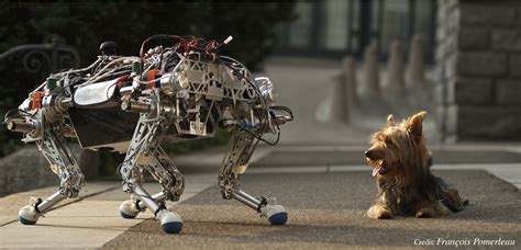 Figure 1 From Quadrupedal Locomotion Using Hierarchical Operational Space Control Semantic Scholar