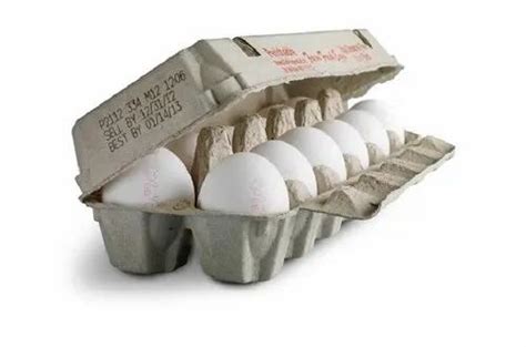 Food Grade Tij Egg Stampingcoding Machine Capacity 100 Eggs Per Min