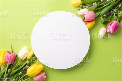 봄 시즌 개념입니다 튤립과 음부 버드 나무 가지의 흰색 빈 원 꽃다발의 상위 뷰 사진은 빈 공간이 있는 격리 된 밝은 녹색