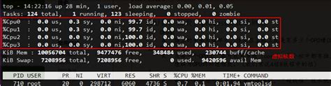 Cpu Vmware Huabingood