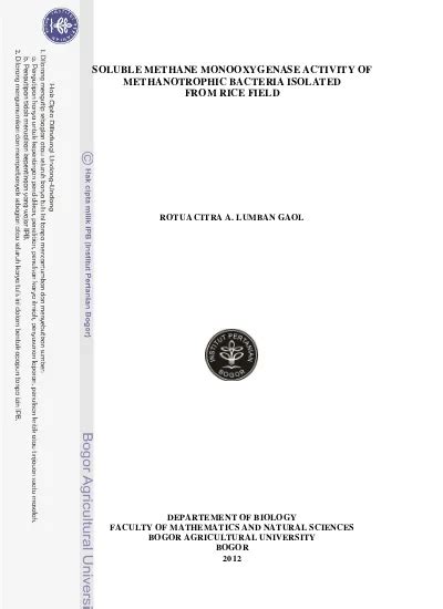 Soluble Methane Monooxygenase Activity Of The Methanotrophic Bacteria Isolated From Rice Field