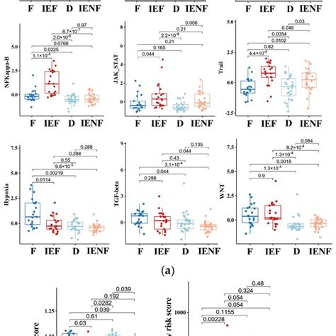 The Tme Clusters Exhibit Distinct Molecular Pathway Activity And