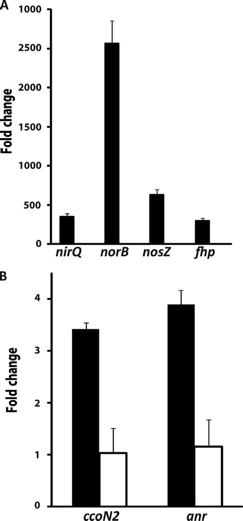 Differential Expression Of Nitrate Respiration Genes And Genes Involved Download Scientific