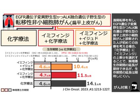 日本がん対策図鑑 【肺がん（非扁平上皮がん）：一次治療（os）】「イミフィンジ＋イジュド＋化学療法」vs「化学療法」