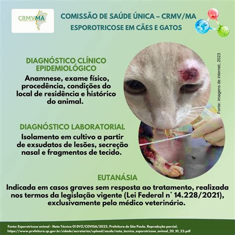 Esporotricose Em CÃes E Gatos Crmv Ma
