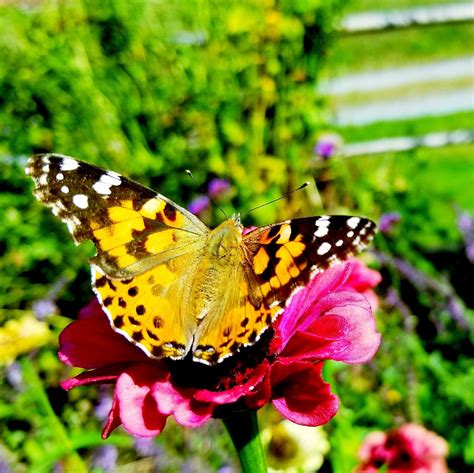 Inspiration By Awesomeness