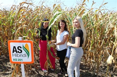 Дан поља хибрида кукуруза у Пожаревцу