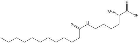 N6 Lauroyl L Lysine 97207 29 9