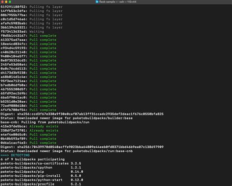 Cloud Python Flask App Fly Io