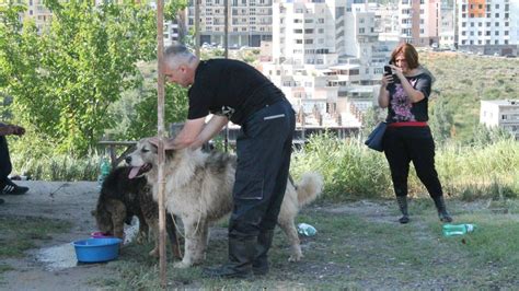 ელიზბარაშვილი ცხოველთა საზოგადოებრივი თავშესაფრის შექმნის ინიციატივით