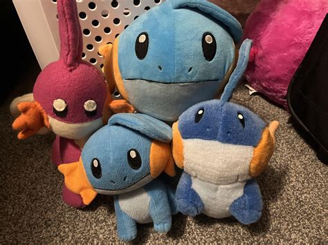 After 12 Hours I Finally Finished My Shiny Mudkip Plush Its Not Where