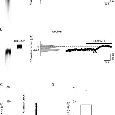 Reduced Tonic Gaba A Receptor Mediated Inhibition In Wobbler Mouse