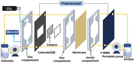 Research Areas Debabrata Bagchi