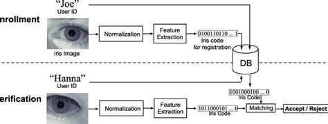 The Steps Of Enrollment And Verification In The Iris Authentication Download Scientific Diagram