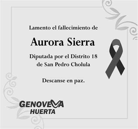Murió Aurora Sierra Diputada Del Pan E Impulsora De La Ley Vicaria