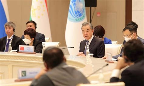 Chinese Fm Stresses To Promote Genuine Multilateralism Oppose