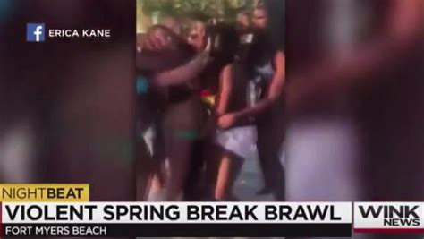Bikini Clad Babes Batter Each Other In Mass Beach Brawl Daily Star