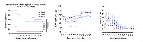 Staphylococcus Aureus Bacteremia Model Ibt