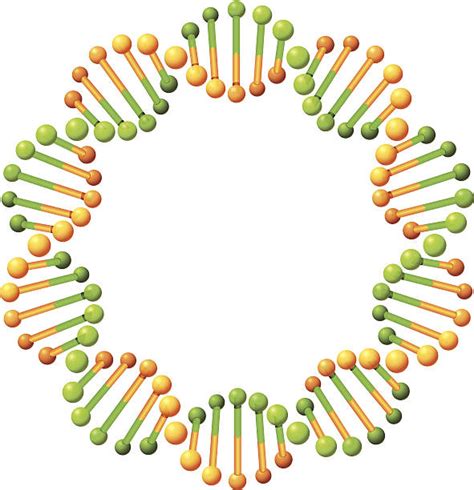 Best Protein Molecules Illustrations Royalty Free Vector Graphics