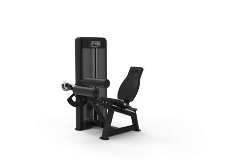 Seated Leg Curl Gym Bro Fitness