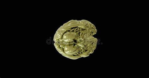 Animation Of Yellow Human Brain Spinning On Black Background Stock Footage Video Of Health