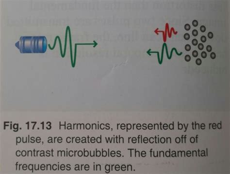 Ch 17 Harmonics And Contrast Agents Flashcards Quizlet