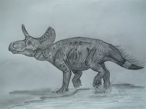 Turanoceratops Alchetron The Free Social Encyclopedia