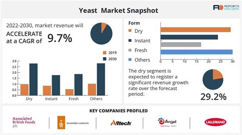 Yeast Market Size Share Trends And Growth Forecast To