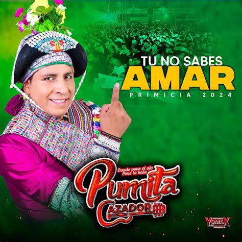 Tu No Sabes Amar Youtube Music