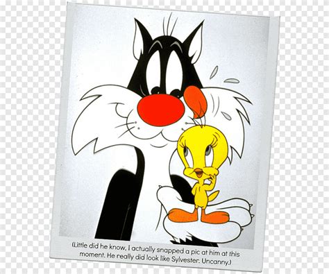 Sylvester The Cat Eating Tweety Bird