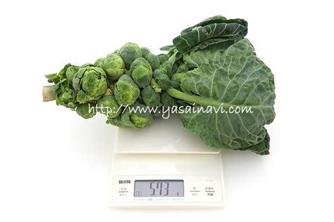 芽キャベツの写真（画像）｜キャベツ