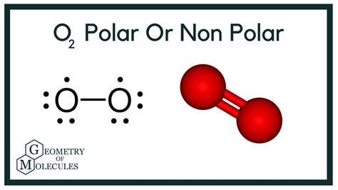 Is O2 Polar Or Nonpolar Techiescientist