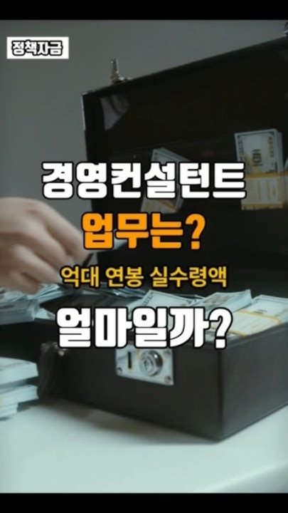 경영컨설턴트 업무 억대연봉 실수령액 얼마일까 Youtube