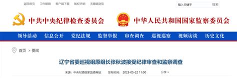 两名省级党委巡视组原组长被查！重庆市纪委张秋波辽宁省纪委