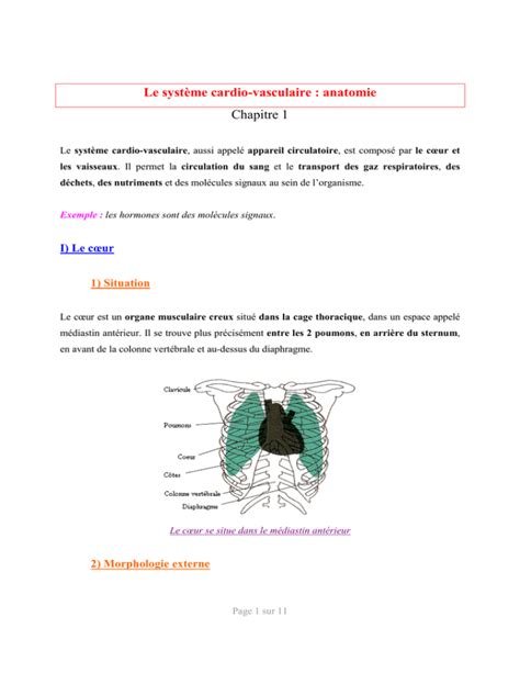 Le système cardio vasculaire anatomie Chapitre