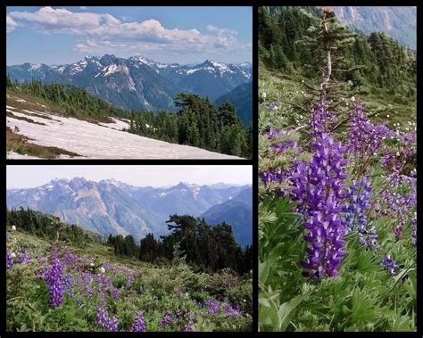 Mount Dickerman Hesperos Flown