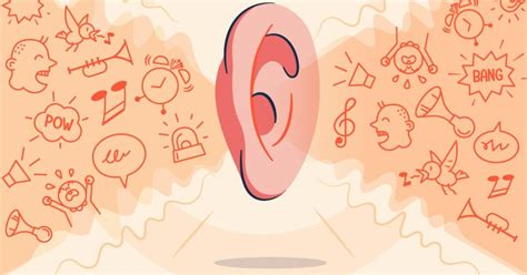 How Do Human Hear Sound The Hearing Mechanism Explained Headphonesty