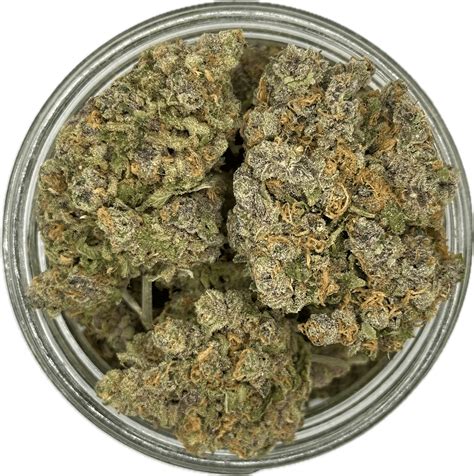 Purple Congo By Captains Pink Weed Delivery Edmonton Yegbuds