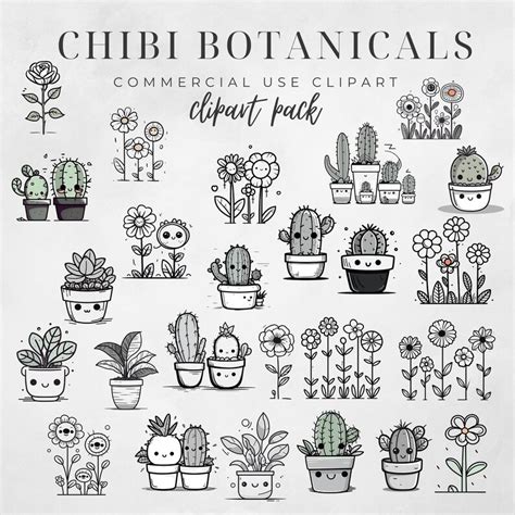 Chibi Clipart Cactus Clipart Chibi Botanicals Svg Cute Cactus Png Cute Plant Clipart