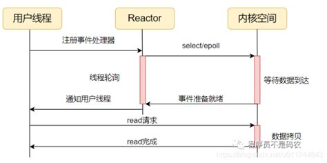 高性能io并发模型reactorproactor主从reactor高并发模型 Csdn博客