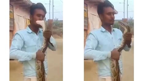 सांप के साथ रोमांस करना पड़ा महंगा Kiss लेने के चक्कर में पड़ गए लेने
