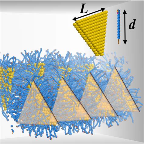 Self Assembly Of Soft Materials The Schatz Group