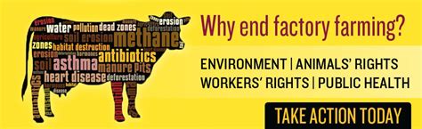 End Factory Farming