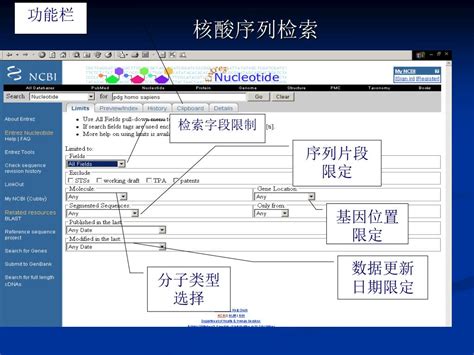 Ppt 第七 章 生物信息学数据库 Bioinformatics Database Powerpoint Presentation